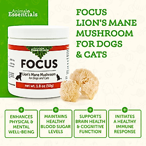Animal Essentials Focus Lions Mane Mushroom Supplement for Dogs & Cats - Supports Brain Health, Cognitive Function, Healthy Immune Response, Mushroom Powder Extract - 1.8 Oz (Pack of 1)