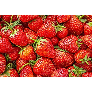 Sweet Red Strawberry Seeds 300pcs for Home Garden Planting