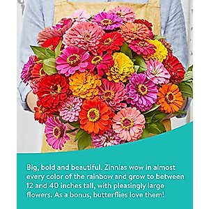 Burpee Cutting 50,000 Bulk, Multi, 1 Bag | 15 Varieties of Non-GMO Flower Perennial Wildflower Seeds Pollinator Mix | Covers 1,000 Sq. Ft, Multicolor