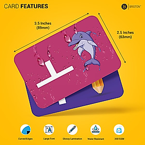 41 Korean Alphabet Hangul Flash Cards – Educational Language Learning Resource with Pictures for Memory & Sight Words - Fun Game Play - Grade School, Classroom, or Homeschool Supplies – Briston Brand