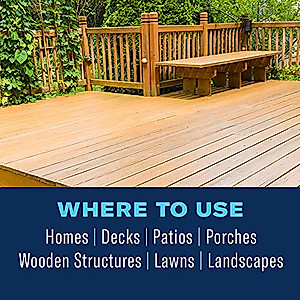 BioAdvanced Carpenter Ant & Termite Killer Plus, Ready-to-Use, for Insects, 1.3 Gal