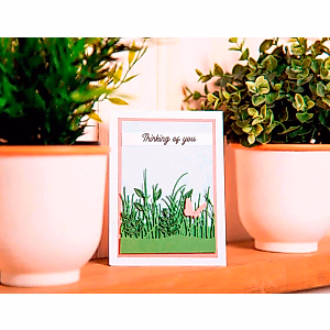 Sizzix Thinlits Die Set 4 Pack Springtime Borders by Sharon Drury, Multicolor