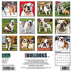 Just Bulldogs 2021 Wall Calendar (Dog Breed Calendar)