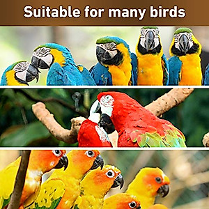 MYFAMIREA Parrot Toys for Medium Birds, Parrot Chewing Toy Cardboard Bird Toys Natural Wooden Bird Cage Chewing Toy for African Greys, Cockatoos, Macaws, Small & Medium Birds