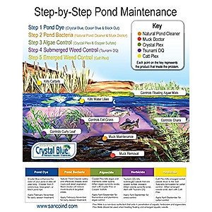 Crystal Plex - Lake and Pond Algaecide Treatment - Liquid Copper Algaecide Kills and Prevents Various Types of Algae (Planktonic, Filamentous, Chara) - 1 Gallon Treats up to 1 Acre