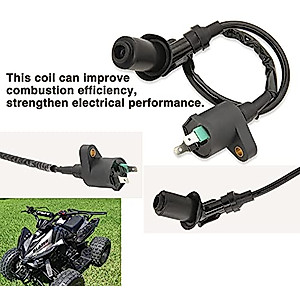 CDI Box Ignition Coil 5 Pin Regulator Rectifier Relay Spark Plug for Kazuma Meerkat 50cc Falcon 70cc 90cc 110cc Taotao Roketa Coolster 110CC ATV 3050B by Lucky Seven