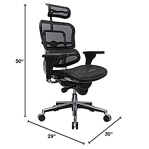 Eurotech Seating Ergohuman High Back Mesh Managers Chair, Black
