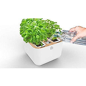 Véritable Botaneo Eylo Garden - Indoor Garden - Kit with 2 Lingot Automatic LED Lighting