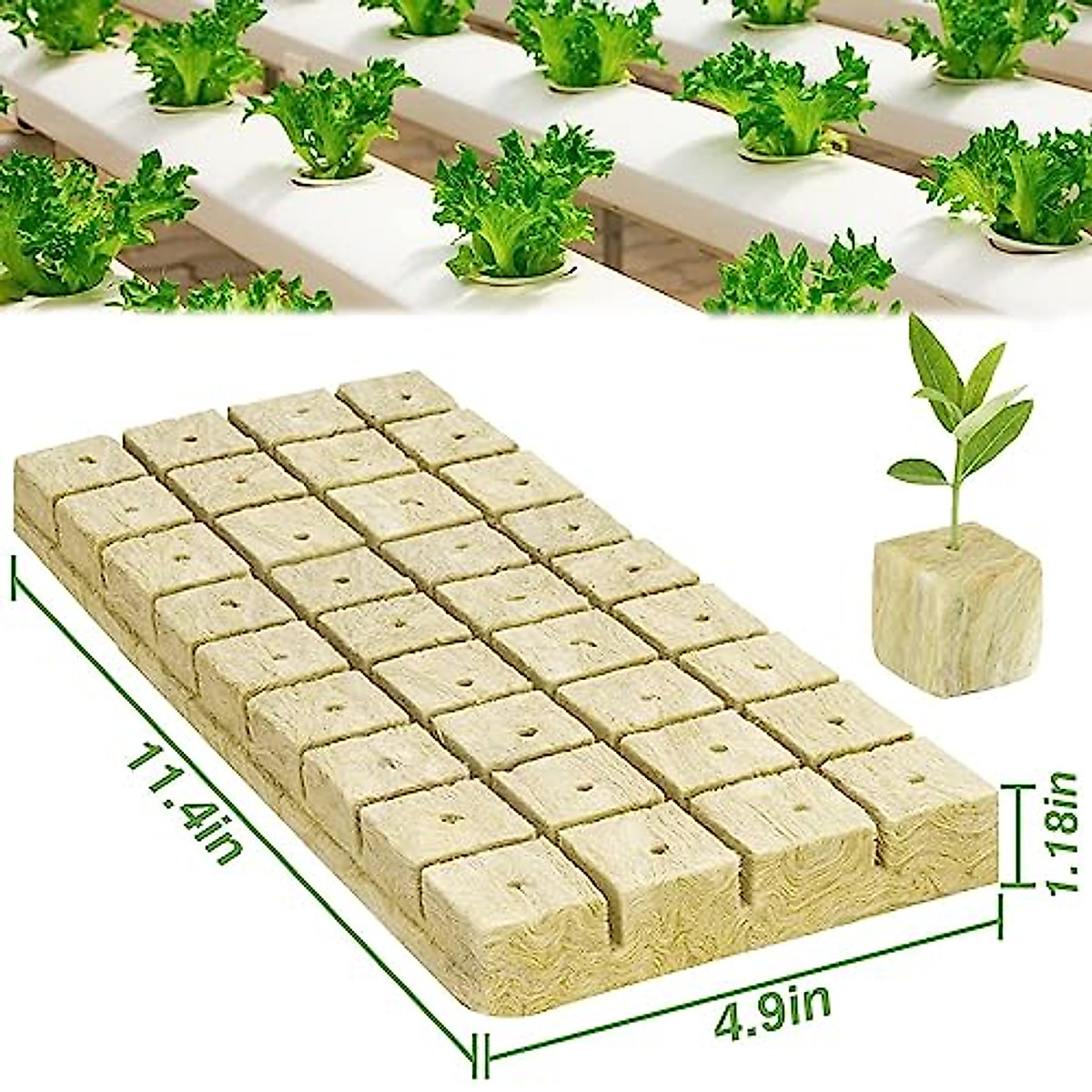 Halatool 1.2 inch Rockwool Cubes Garden Stonewool Grow Cubes Starter Plugs for Hydroponics Soilless Cultivation Seedlings Cuttings Clone Plants (4 Sheets, 144 Plugs in Total)