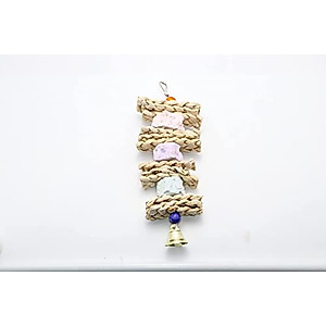 Litewoo Parrot Toy Bird Chew Toy High Calcium Plaster Hanging String Birdcage Accessories Suitable for Parrot Macaw African Grey Parrot Xuanfeng Parrot Bird Toy