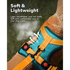 MIDOG Dog Harness, No-Pull Pet Harness and Leash Set for Small Medium Large Dogs Walking, No Choke Front Clip Dog Reflective Harness, Adjustable Soft Padded Pet Vest with Easy Control Handle (Blue,XL)