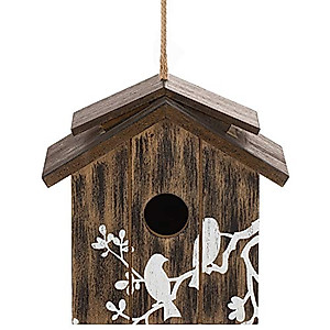 Topadorn Wooden Bird House Hanging Outdoor,Eco Friendly Materials and Decorative with Bird Printed