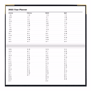 Letts Roma Monthly Planner, Slim Size, 13 Months, January 2023 to January 2024, Month-to-View, Horizontal, Gold Corners, 6.625" x 3.25", Black (C13SBK-23)