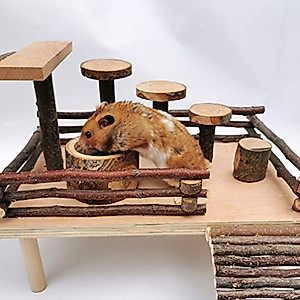 POPETPOP Hamster Wooden Food Bowl for Hedgehog Guinea- Pig Gerbil Squirrel Reptiles Chinchilla Ceramic Feeding Dish (Random Color)