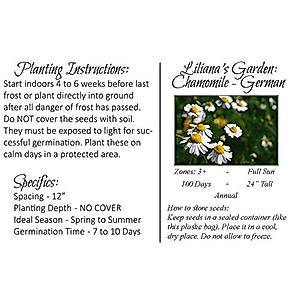Herb Seeds - German Chamomile - Medicinal, Flowering, and Edible - Liliana's Garden