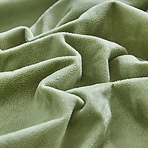 Luxlovery Sage Green Flannel Duvet Cover Set Queen Velvet Fluffy Bedding Cover Sets Light Green Soft Warm Comfy 3 Piece Bedding Cover Set with 2 Pillowcases