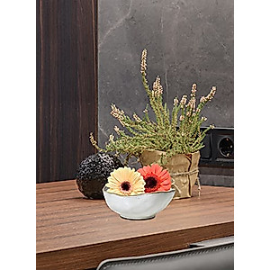 Serene Spaces Living Large Free-Form Edge Glazed Ceramic Bowl, Centerpiece for Vintage Weddings, Events, Measures 6" Long, 5.5" Wide, 2.75" Tall
