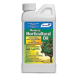 Monterey LG 6286 Horticultural Oil Concentrate Insecticide/Pesticide Treatment for Control of Insects, 16 oz