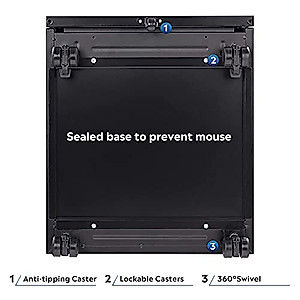 DEVAISE 2-Drawer Mobile File Cabinet with Lock, Vertical Filing Cabinet, Black
