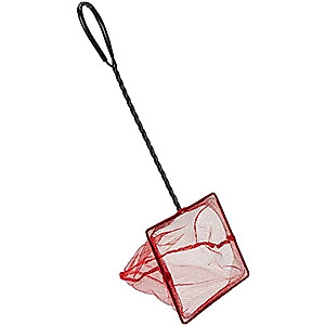 PENN-PLAX Infra-Red Quick-Net Aquarium Fish Net – Red Color for Invisibility – Durable, Strong, and Safe – 6” x 5” Net – 10” Handle