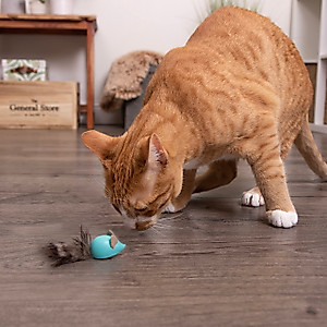 SmartyKat Instincts Sneaky Slider Rolling Interactive Cat Toy - Blue, One Size