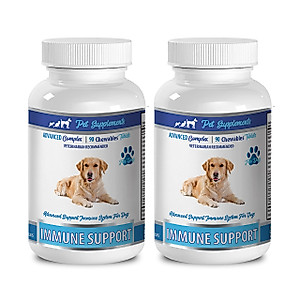 antioxidant Dog Treats - Advanced Immune System Support - CHEWABLE - for Dogs - Dog Supplements for Skin and Coat - 2 Bottle (180 Chews)