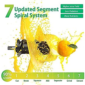 BLITZHOME Cold Press Juicer machines, 2-Speed Modes Slow Masticating Juicer for Vegetable and Fruit, with Quiet Motor/Reverse Function/Wide 1.73" Feed Chute, Easy to Clean