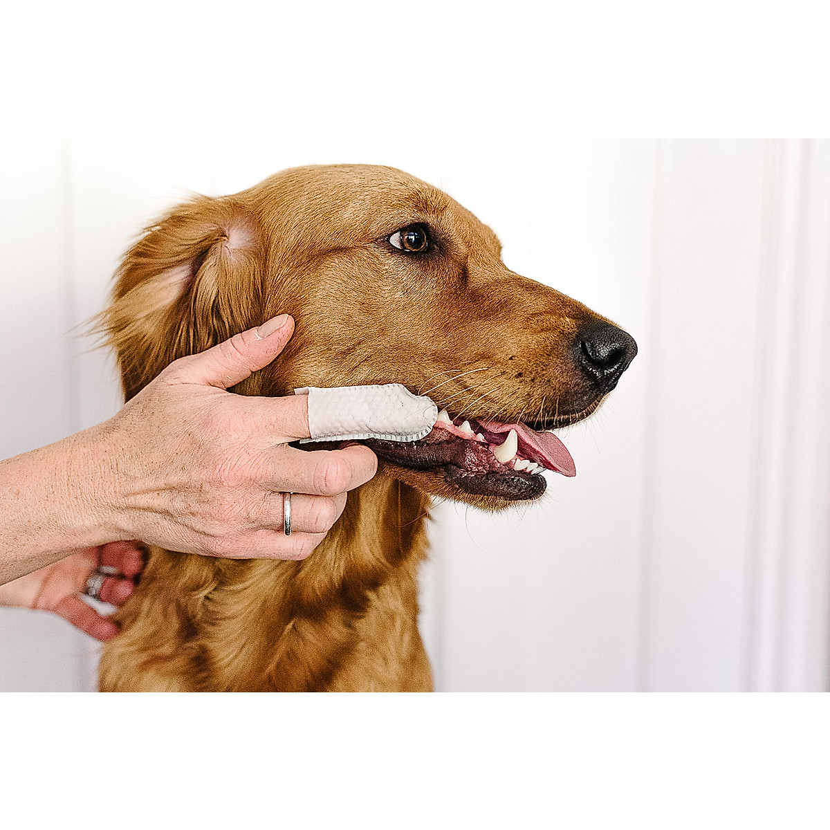 Dental Finger Wipes with Spearmint Oil for Dogs & Cats. Removes Plaque & Tartar, Care for Gums & No Rinsing Required.