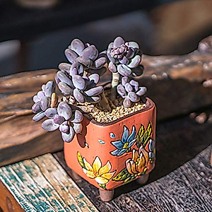 Summer Impressions 4.88 Inch Tall Hand Painted Square Succulent Planter Cactus Planter Pot Bonsai Pot Clay Pot Flower Pot Floral Design Indoor Outdoor Pack of 2 (Tall Square Orange and Green)
