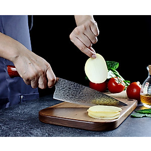 HIDAMOS Professional Damascus Chef Knife Super Sharp Kitchen Knives 73-layer VG-10 Steel Japanese Sushi Knife for Meat/Vegetable with Sheath