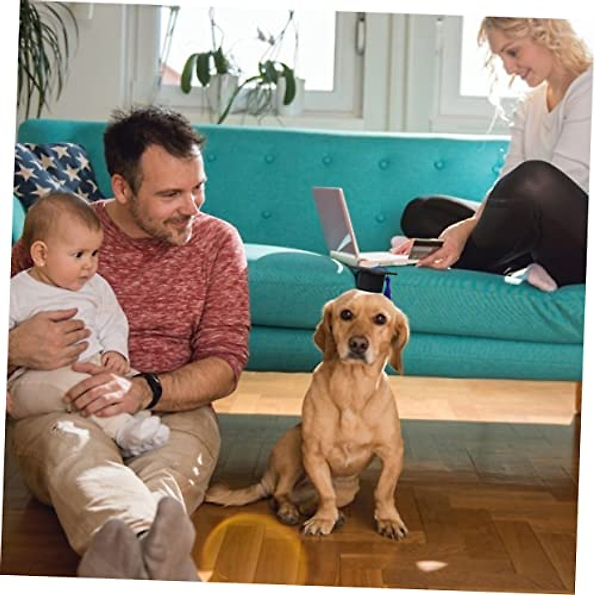 Mipcase 4pcs Bearded Kitten Graduate Photo Hamsters Props Birds Accessories Costume Hedgehogs Pets Hat Mini Guinea Adjustable Pigs Hats Turtles Tassel Dragons Grade Dress Pet Holiday