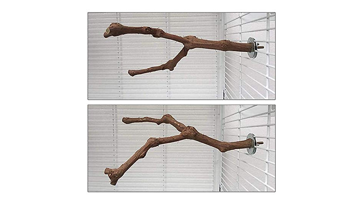 Allazone 5 PCS Bird Perch Set - Natural Grape Vine Stand for Parrots