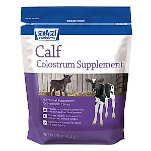 MILK PRODUCTS Sav-A-CAF, 16 oz, Colostrum Supplement