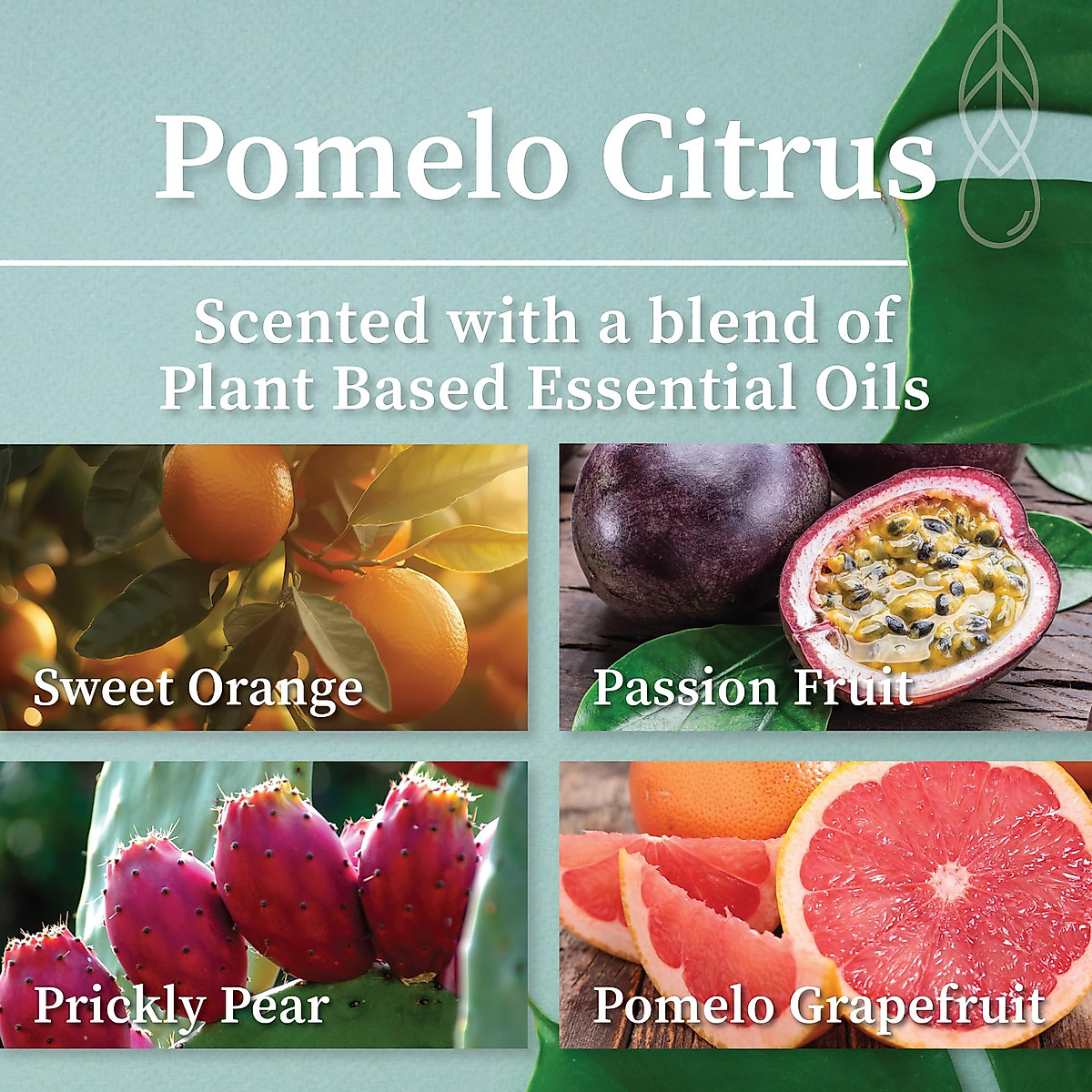 Hemlock Park Apothecary Candle Trio | Gift Set of Three 4 oz Candles Handcrafted with Natural Coconut Wax (Citrus | Pomelo, Yuzu, Blood Orange Sage)