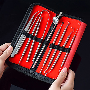 9Pcs Stainless Steel Dental Tools Dentist Teeth Clean With Leather Case