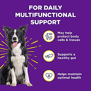 Wildpaw WonderBites for Vitamins & Minerals - Essential Probiotic Supplement for Dog Care - Soft Chew Dog Multivitamin - Supports Digestive Health, Immune Health & Joint Health - 90 Soft Chews