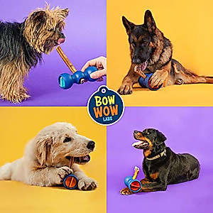 Bow Wow Labs 6" Bully Sticks - 10 Pack (Midsize)