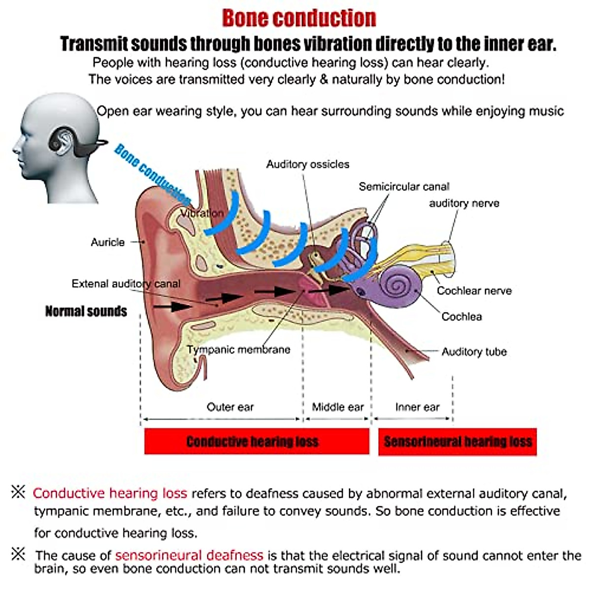 BenexBesdi Wireless Bone Conduction for Seniors & Hard of Hearing
