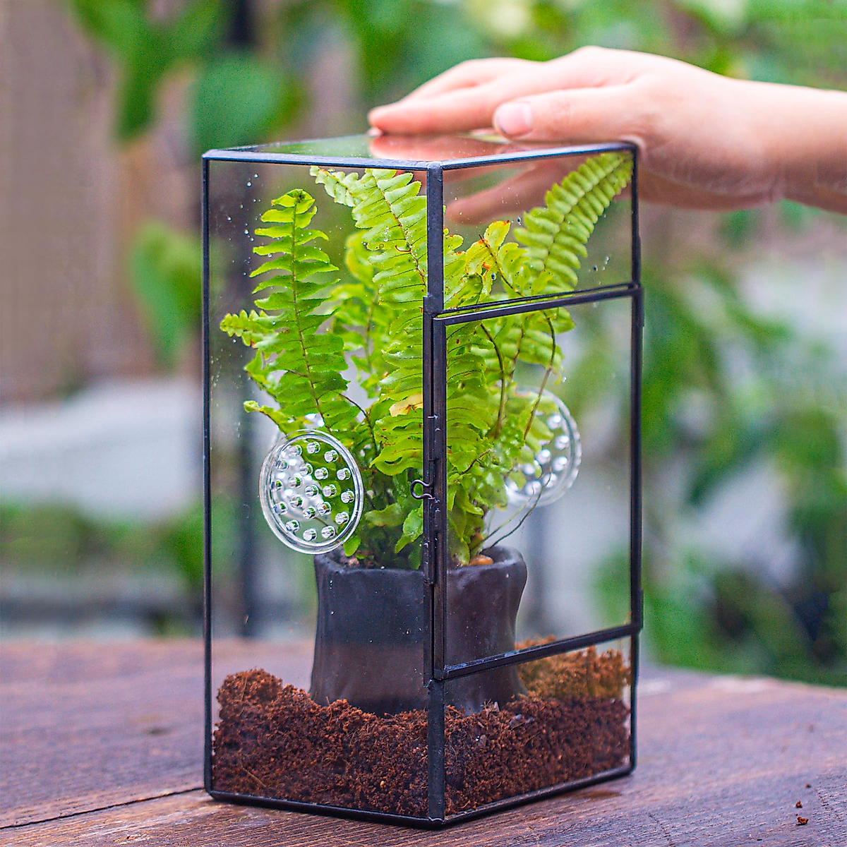 NCYP Small Glass Terrarium with 3 Vent Holes for Large Jumping Spider - 5.1" x 3.9" x 9" - Front Opening Door Insects Enclosure Habitat, Rectangle Black - Holes Diameter 0.12" (Terrarium Only)