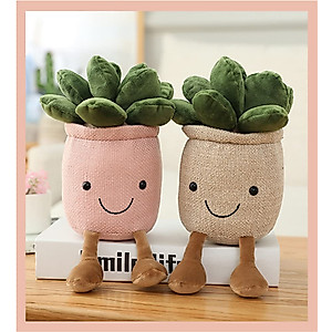 NatureMan Stuffed Plants Succulent Plush, Soft Fluffy Toy Succulent Plants Friend Throw Pillow,Succulents Plushies Pillow Toy Room (Khaki)
