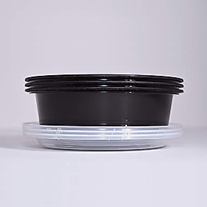 TRIPAK Plastic Microwaveable Food Containers with Lids 32 oz | BPA Free | Stackable | Leakproof | Microwave/Dishwasher/Freezer Safe