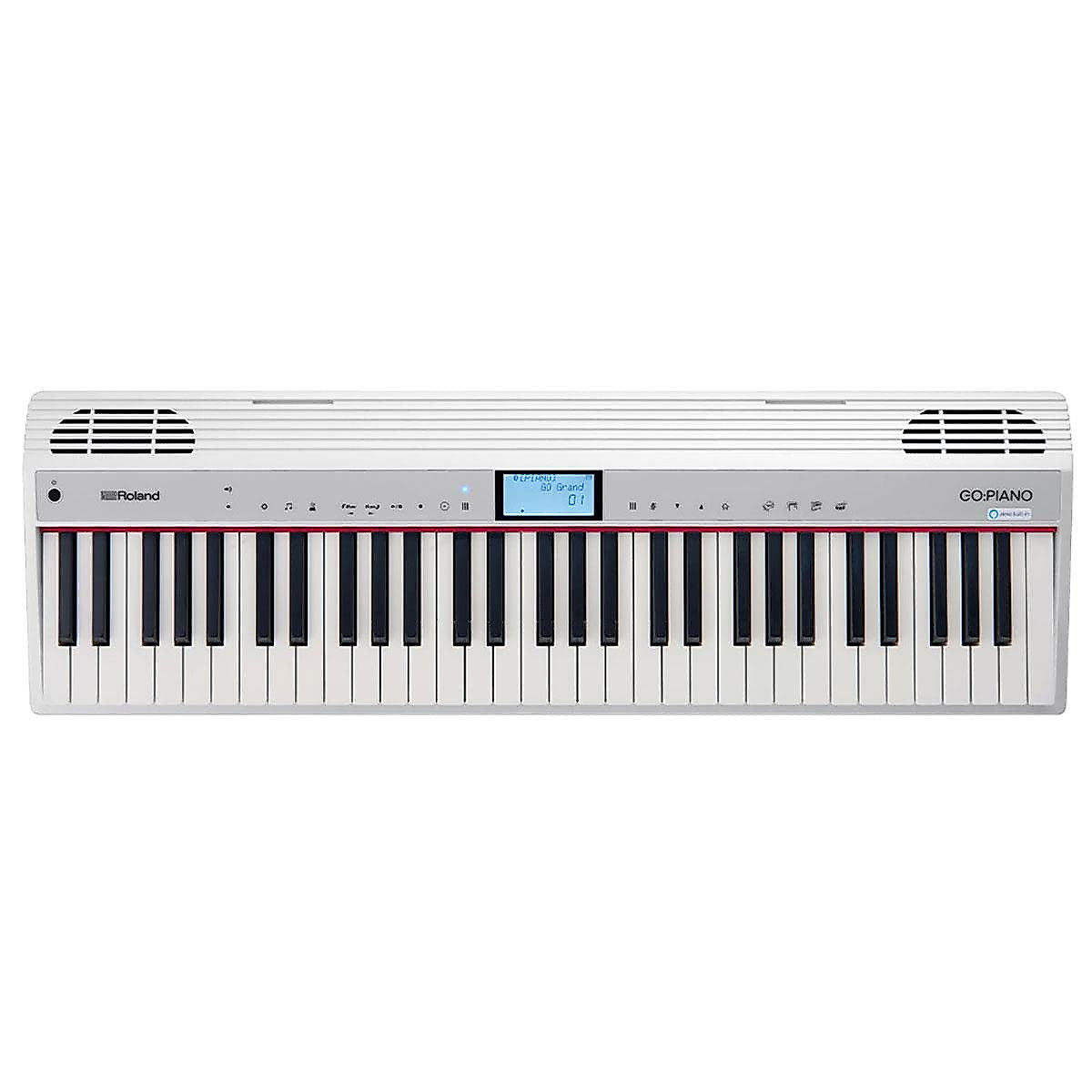 Roland GO:PIANO 61-key Digital Piano Keyboard with Alexa Built-in (GO-61P-A)