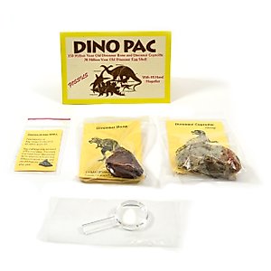Rare Fossil Dino Pac - Real Dinosaur Egg, Bone, and Dung Fossils with Info Cards, Geologic Timescale, and 4X Magnifier
