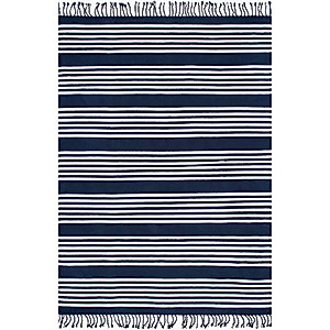 nuLOOM Regency Flatwoven Pinstripes with Tassels Area Rug, 3' x 5', Blue