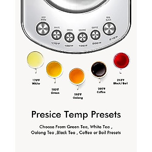 Electric Tea Kettle with Temperature Control, Longdeem 1.7L Stainless Steel Water Boiler & Heater, 1500 Watts for Fast Boiling, Cordless Serving with LED Light, Pastel Green