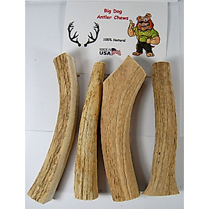 Big Dog Antler Chews - Grade B Deer and Elk Antler Pieces - Dog Chews - Antlers by The Pound, One Pound - Six Inches or Longer - Natural Healthy Long-Lasting Treat