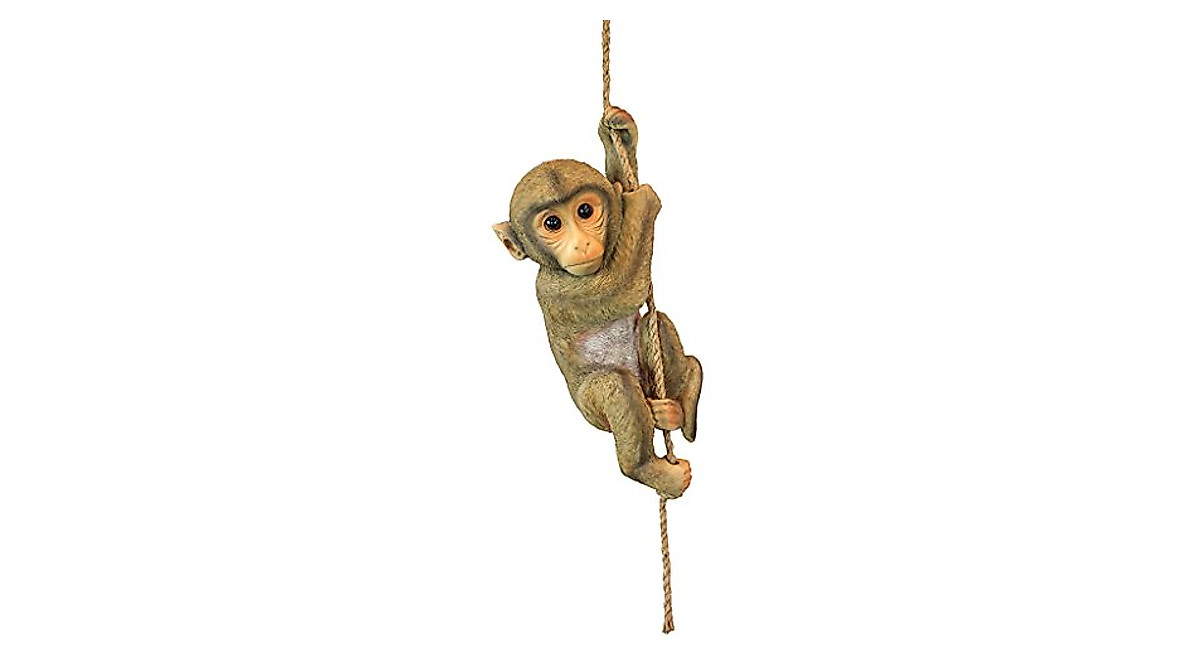 Chico The Chimpanzee Baby Monkey Statue - 16 Inches