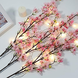 WIESSOC Silk Cherry Blossom Branches, Silk Faux Artificial Cherry Blossom, Cherry Blossom Decor Faux Floral for Home Wedding Table Centrepiece Set of 4, Gift Box with Light, Pink