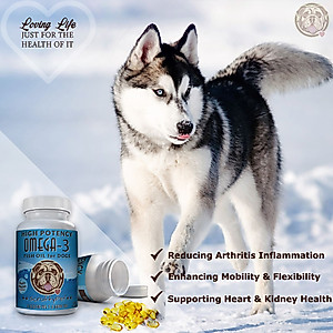 ScruffyPet Pure Omega 3 Wild Fish Oil for Dogs with Vitamin E - Highest EPA & DHA Softgels Available (1000mg) 180ct