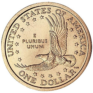 2007 S Proof Sacagawea Dollar Choice Uncirculated US Mint